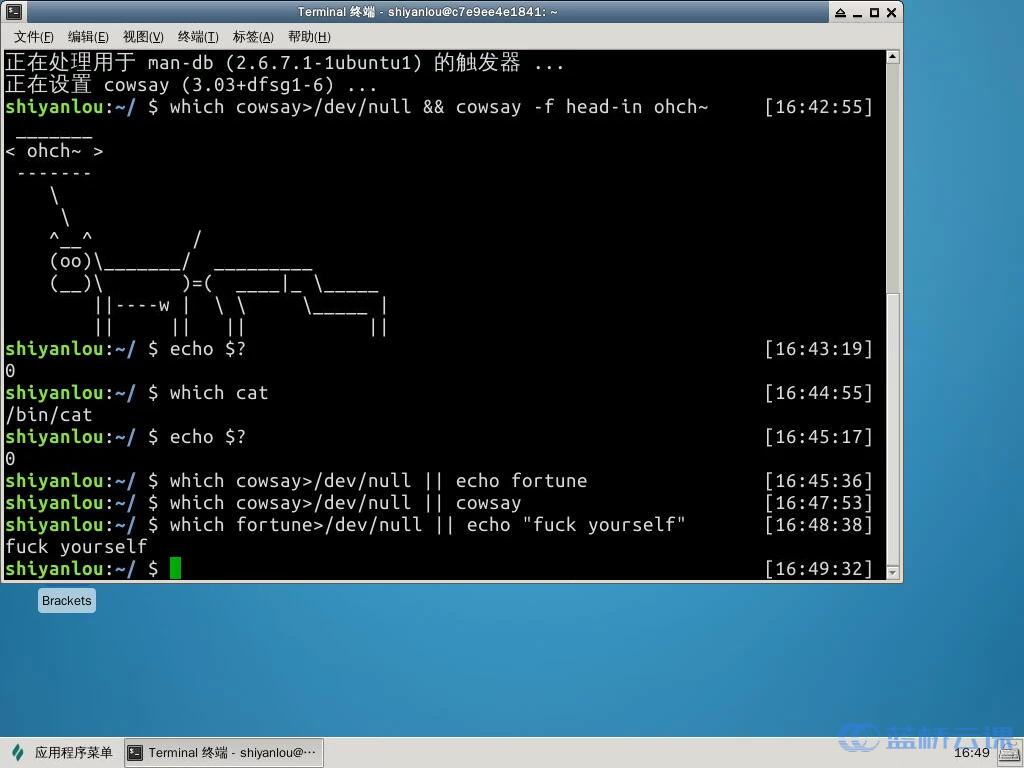 命令执行顺序控制与管道 - 蓝桥云课