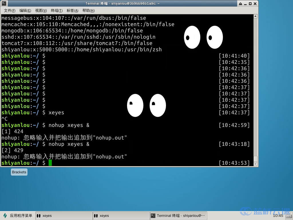 Linux 目录结构及文件基本操作 - 蓝桥云课