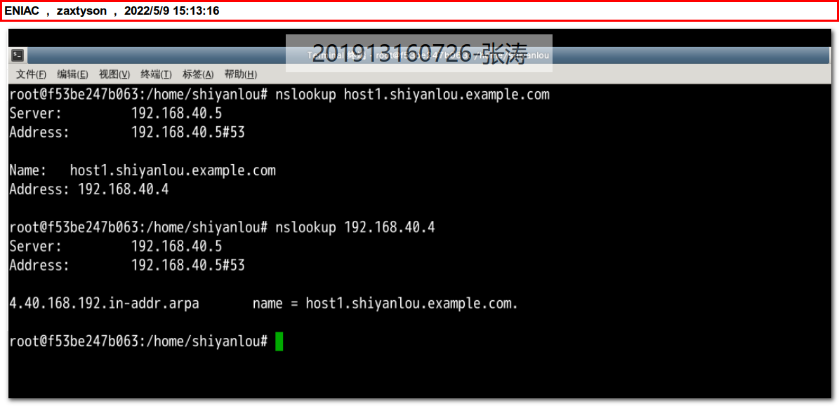Linux 系统搭建及配置 DNS 服务器 - 蓝桥云课