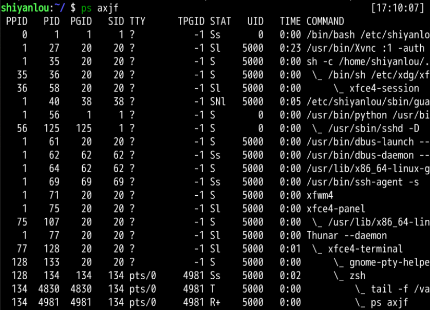 Linux 进程管理 - 蓝桥云课