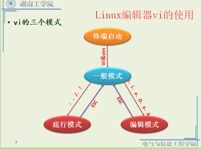 编辑器VI及VIM的使用 - 蓝桥云课